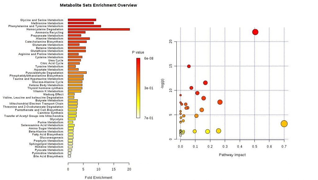 Nature Reviews Endocrinology | 肠道微生物代谢产物对肥胖、NAFLD和T2DM的影响_肿瘤细胞_氨基酸代谢_非靶 ...