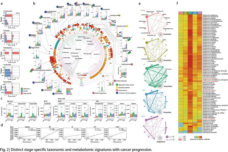 Nature Medicine | 代谢组学和宏基因组学共同揭示CRC与肠道菌群的关系_肿瘤细胞_氨基酸代谢_非靶向代谢_脂质_多组学代谢流 ...