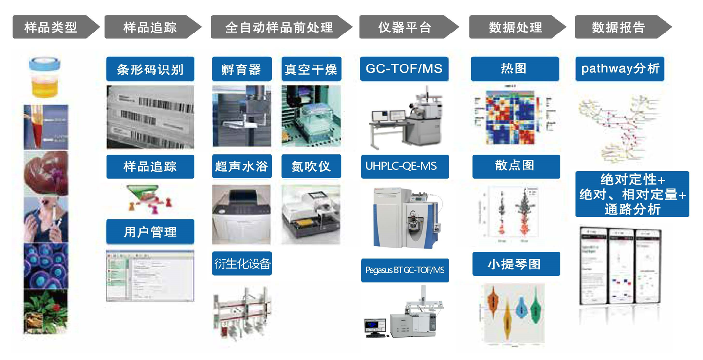 LC-MS非靶向代谢组学_肿瘤细胞_氨基酸代谢_非靶向代谢_脂质_多组学代谢流检测分析_脂肪酸定量_肠道微生物菌群检测-麦特绘谱