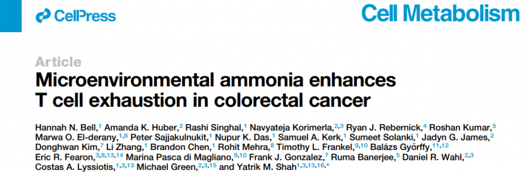 Cell Metabolism | 肠癌免疫治疗疗效差，氨积累惹的祸！_肿瘤细胞_氨基酸代谢_非靶向代谢_脂质_多组学代谢流检测分析_脂肪酸 ...