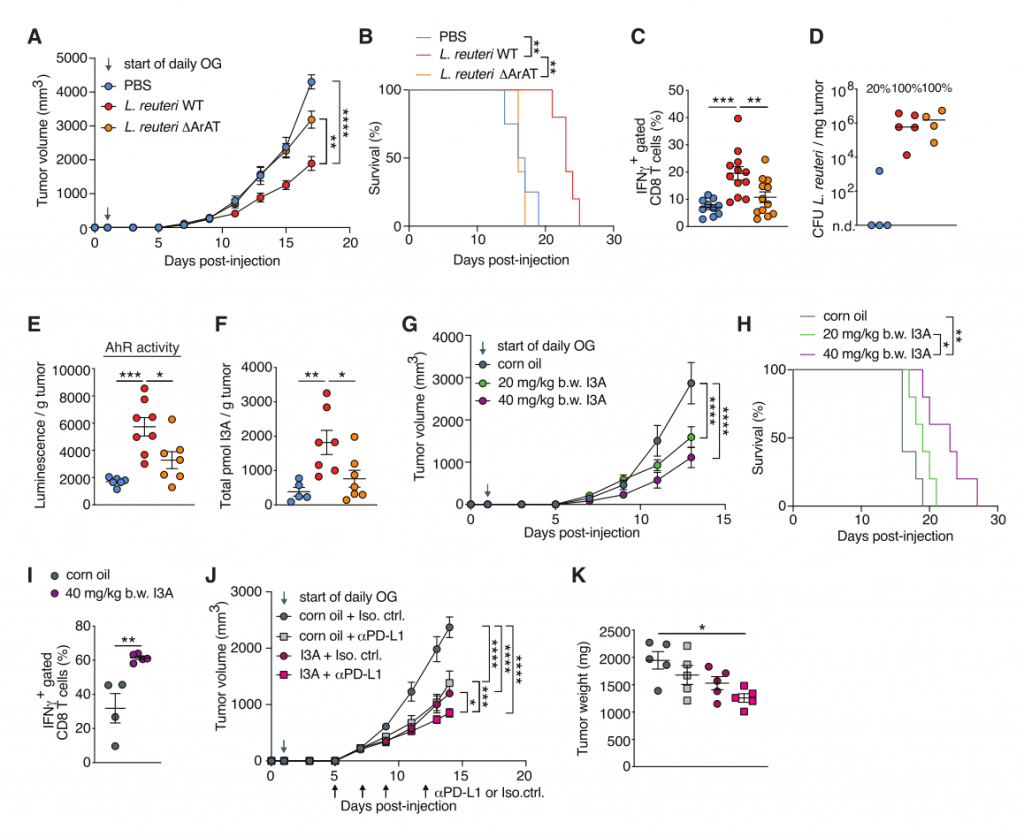 Cell | 吲哚-3-甲醛促进肿瘤免疫治疗有奇效！-技术前沿-资讯-生物在线