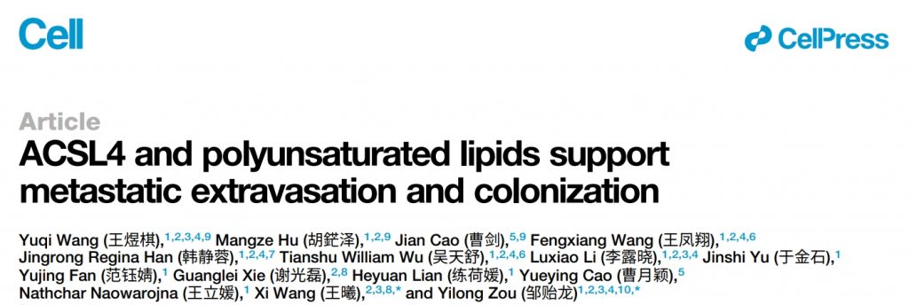 Cell | 长链酯酰辅酶A合成酶ACSL4 携手多不饱和脂质：为癌细胞转移性“大迁徙”开启“绿色通道”_肿瘤细胞_氨基酸代谢_非靶向代谢_脂质_多组学代谢流检测分析_脂肪酸定量_肠道微生物菌 ...