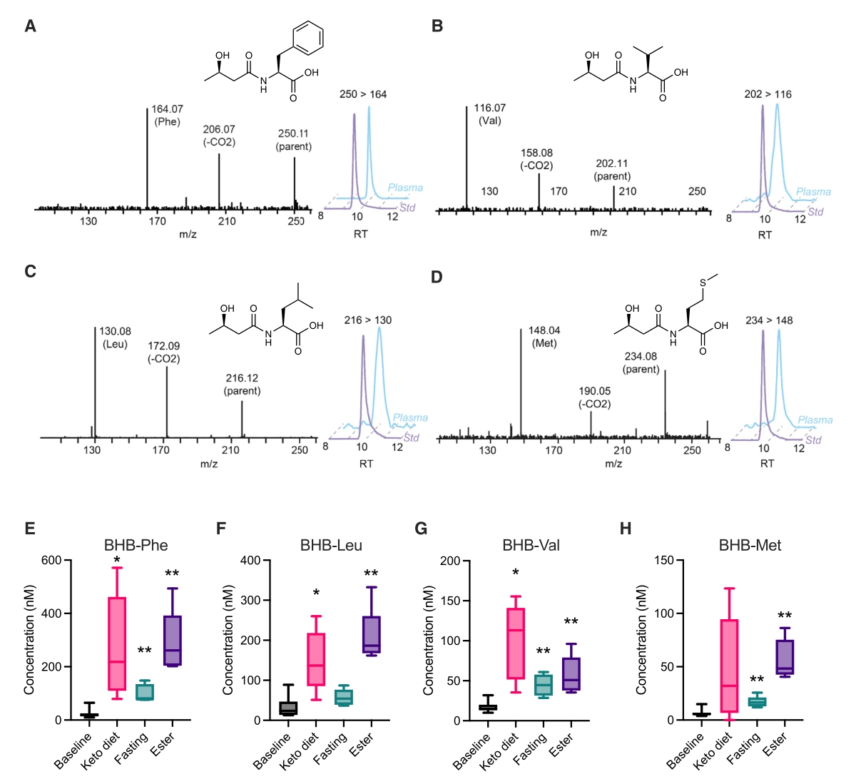 Cell | 当酮体遇上氨基酸：揭秘生酮饮食里的体重调控密码_肿瘤细胞_氨基酸代谢_非靶向代谢_脂质_多组学代谢流检测分析_脂肪酸定量_肠道微 ...